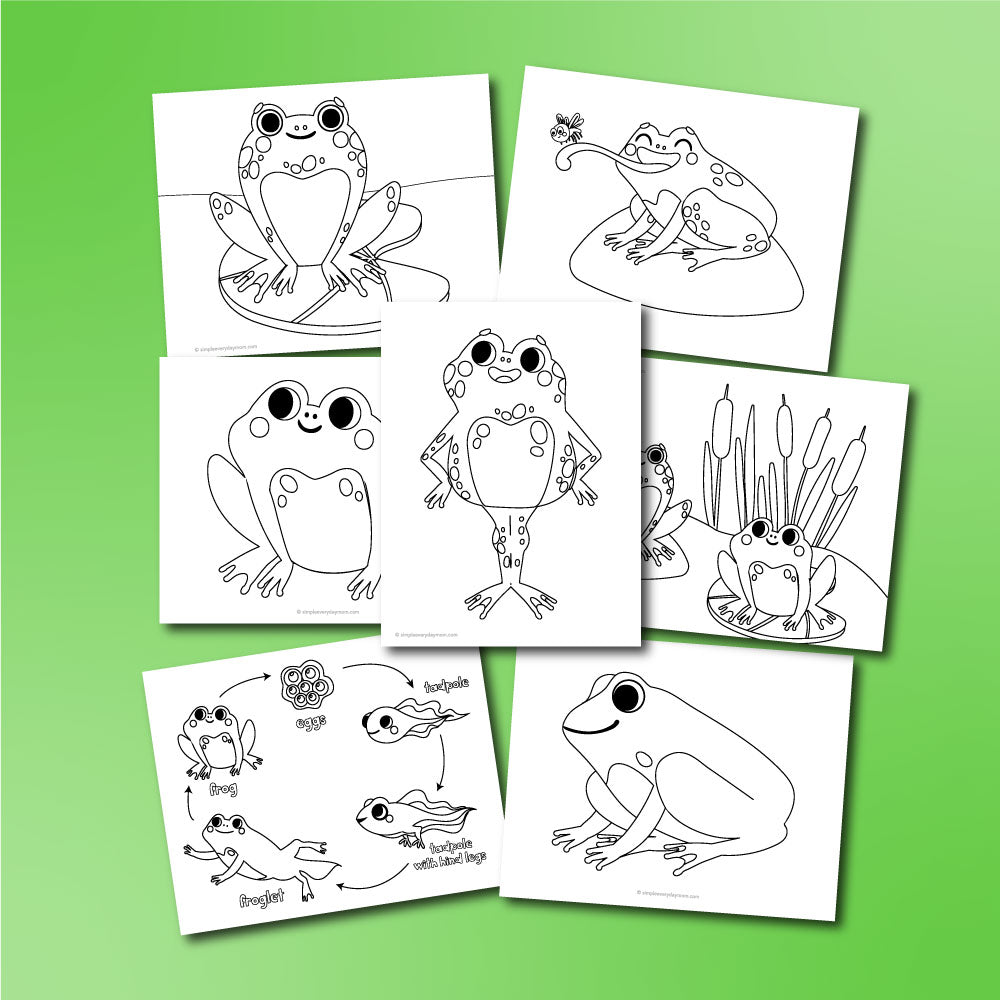 frog life cycle coloring pages free