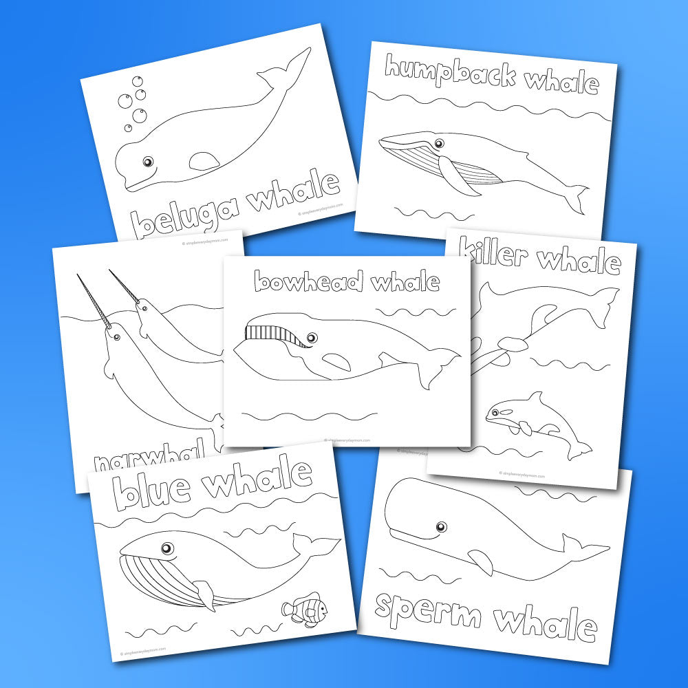 free printable whale coloring pages