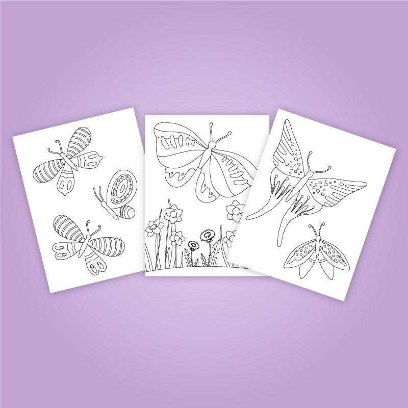 life cycle of a butterfly coloring pages